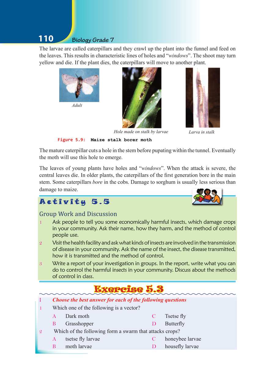 Ethiopia Learning Biology Grade 7 Page 116 In English