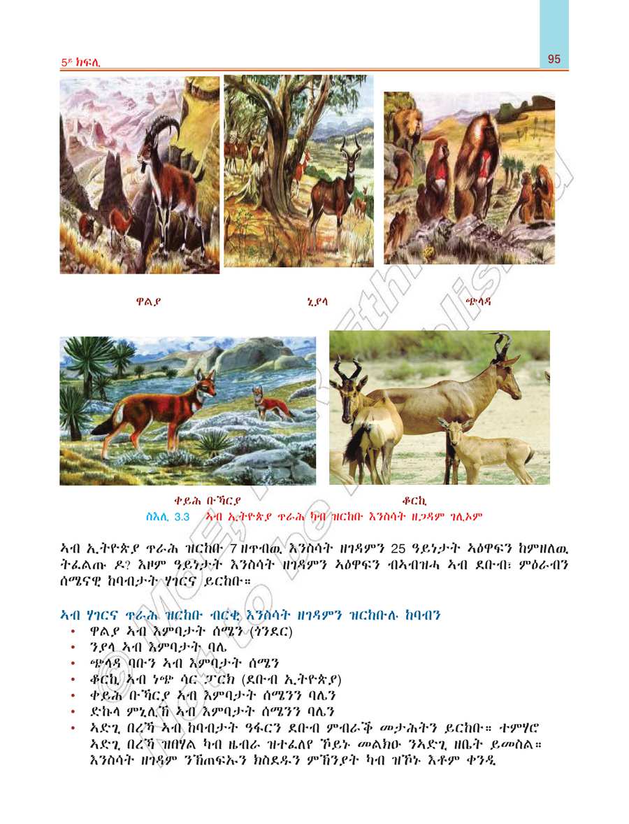 Ethiopia Learning - Social Studies grade 5 page 100 in Tigrigna